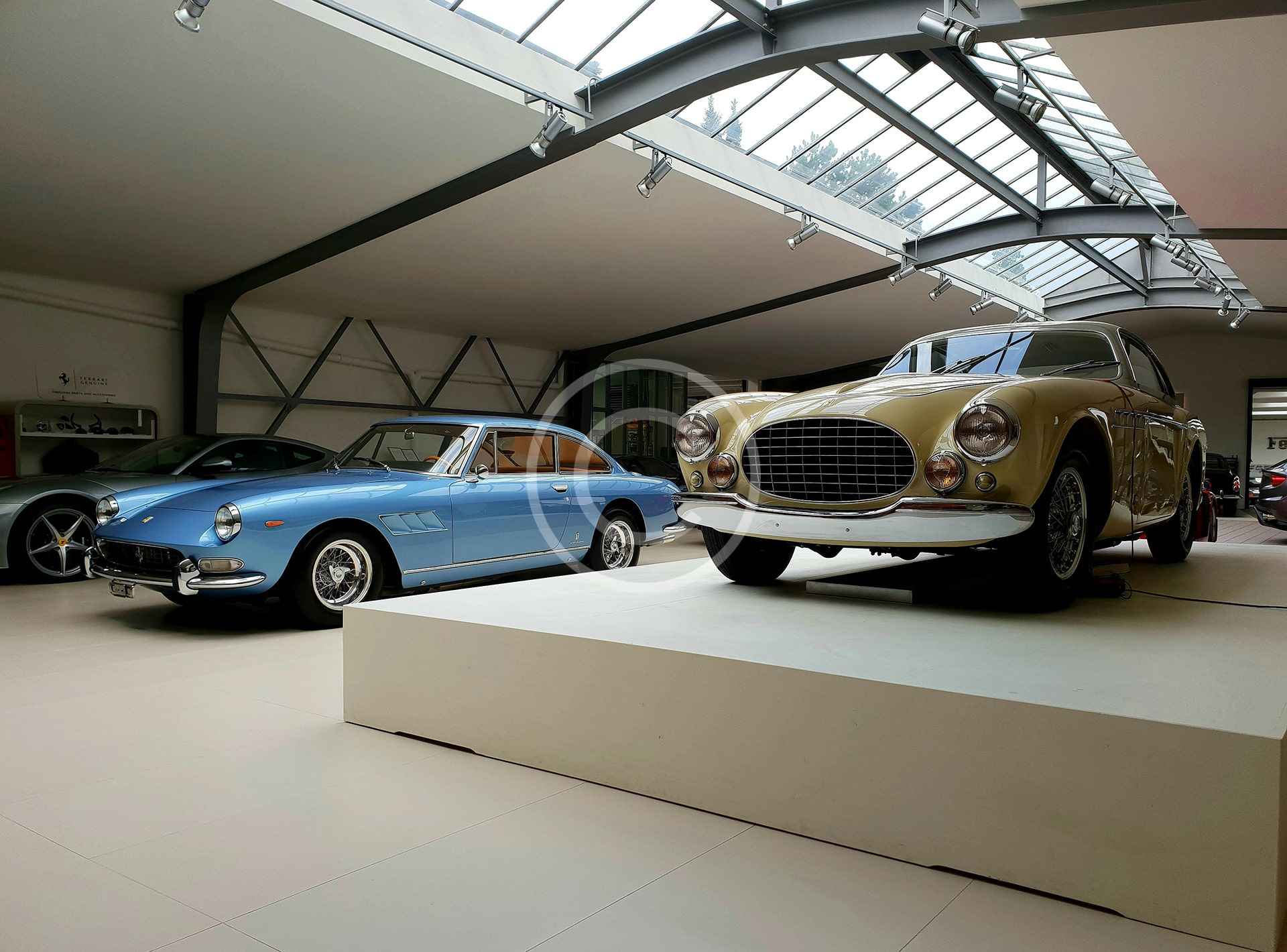 Experience the Thrill: Best Exotic Cars Available for Rent - Ama Auto